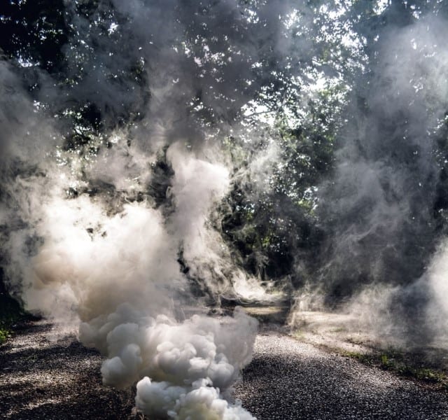 Why Do Beekeepers Smoke Bees? – School Of Bees