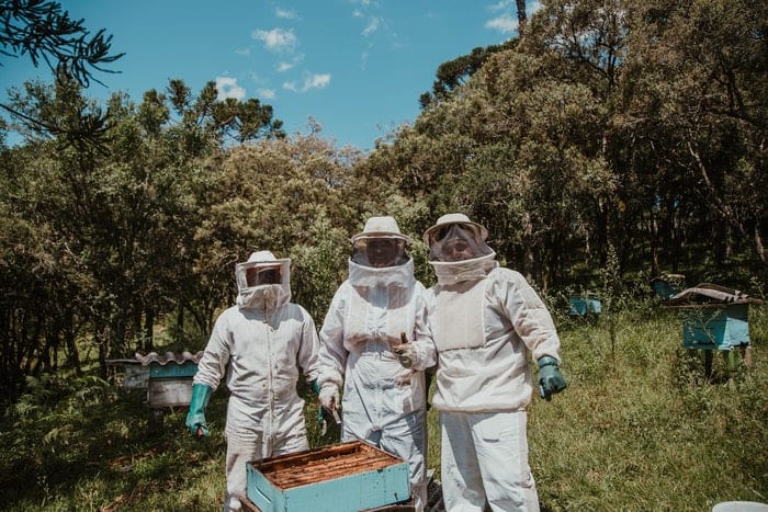 Safest Beekeeping Suits For Beginners – School Of Bees